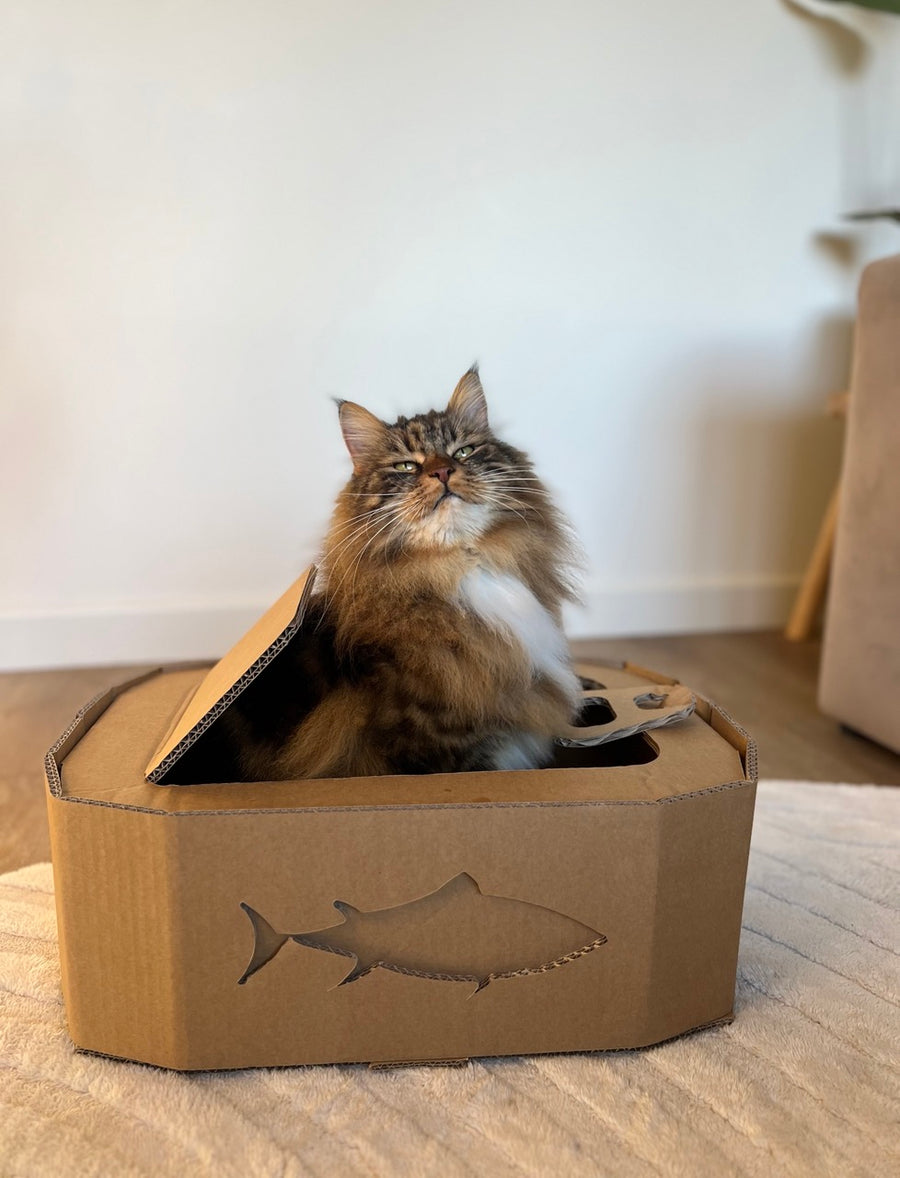 Kartonnen Kattenmand Sardientjesblik | Duurzaam en speels – Kartent