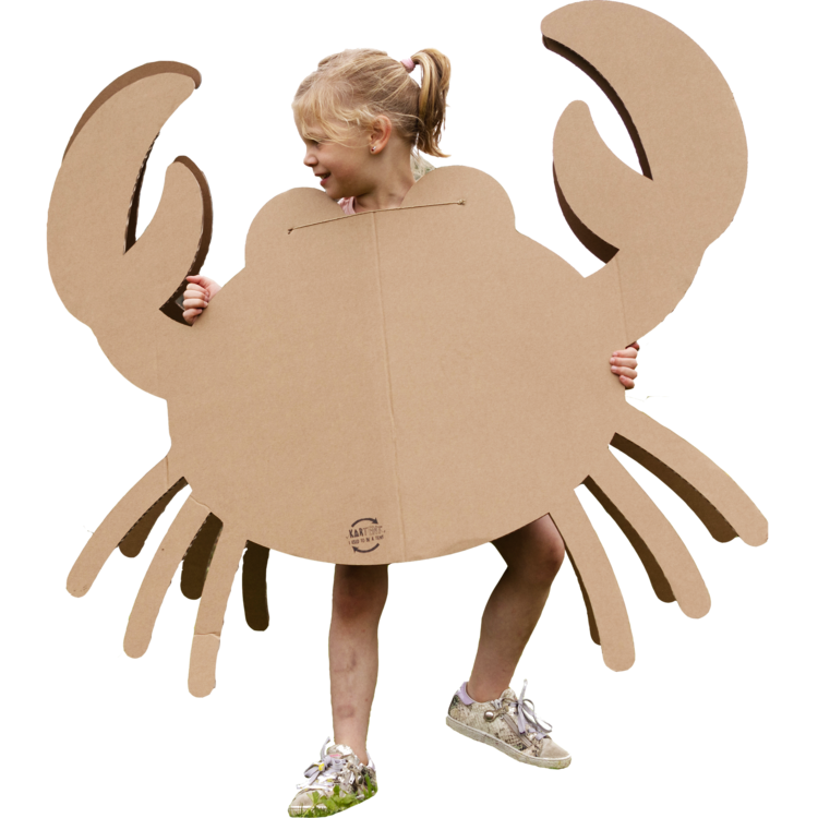 Cardboard Crab Fancy Dress Costume | All Ages – Kartent
